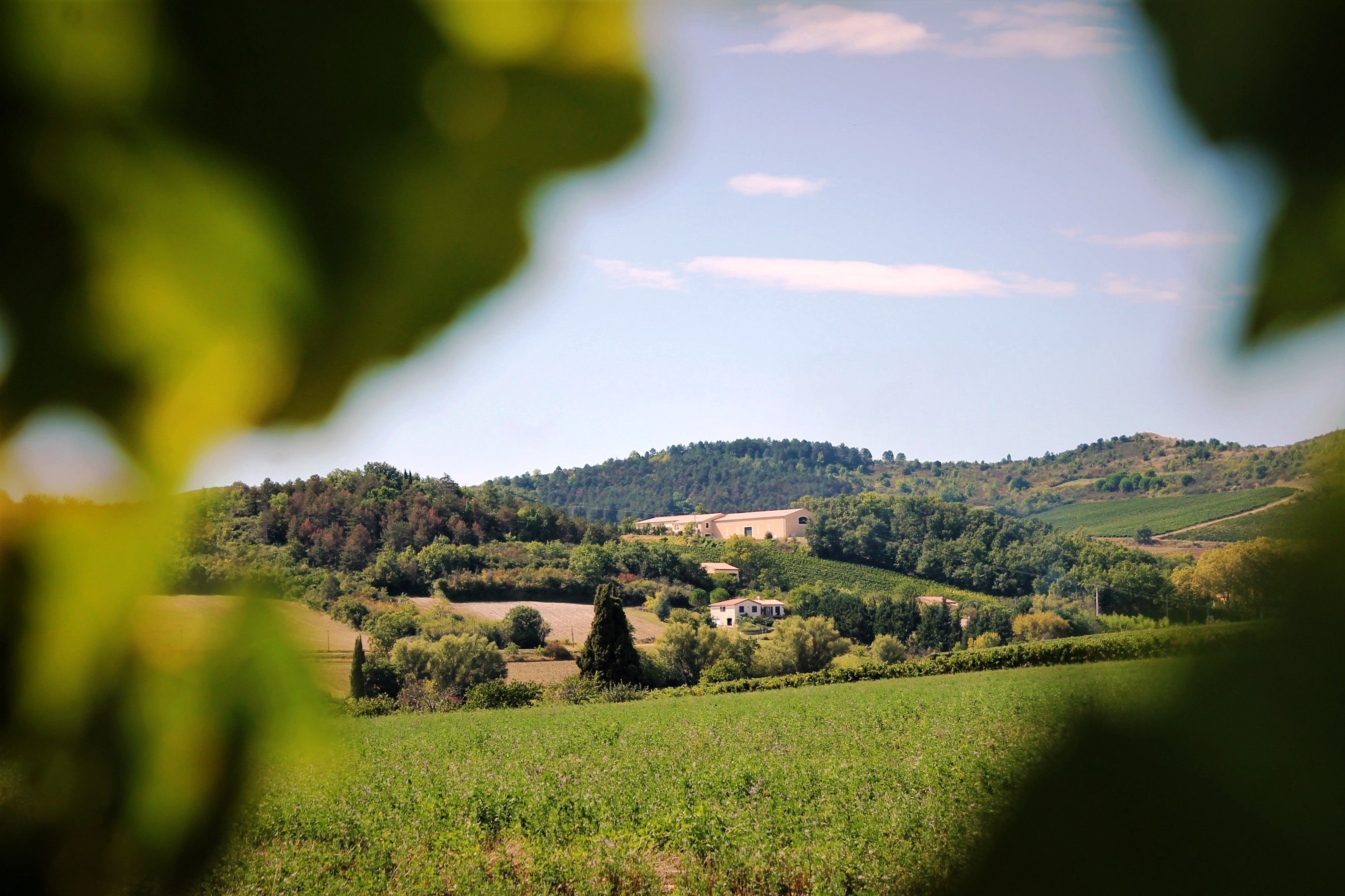 Domaine Girard – The General Wine Company
